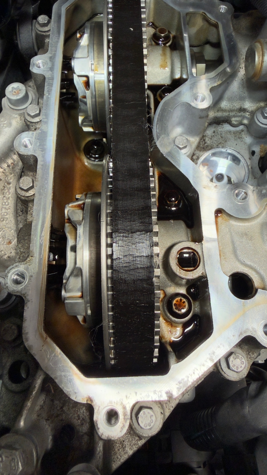 Wet Belt Replacement Sandwich Kent | Ford, Transit, PureTech Specialist